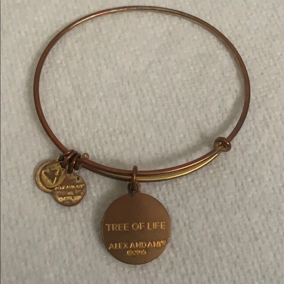 Alex and Ani | Jewelry | Alex And Ani Tree Of Life Bracelet | Poshmark